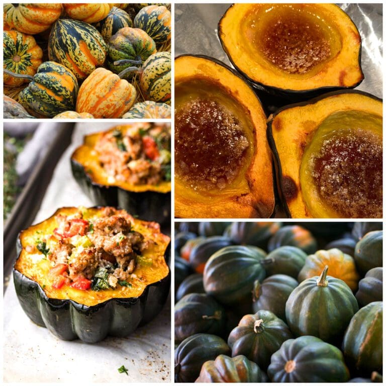 beeMAIL: Happy National Acorn Squash Day! - Registry Tampa Bay