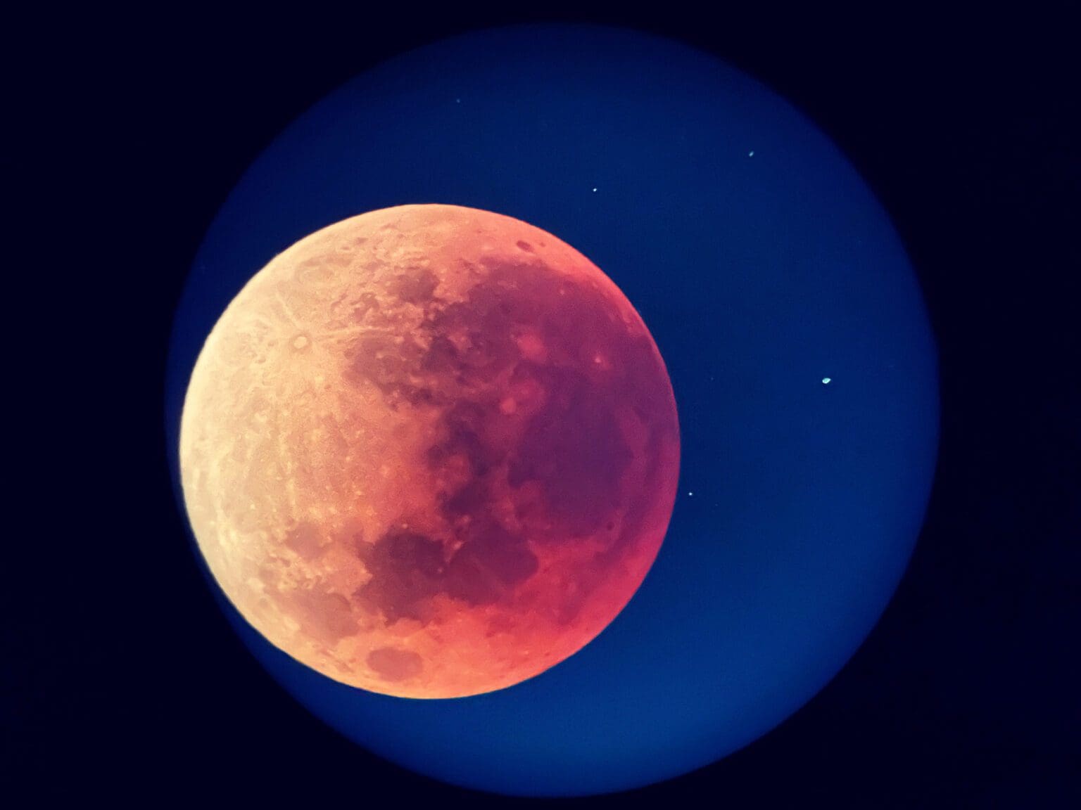 Weekend Top 10: American Stage Brings Disney to the Park, Flowers Bloom ...